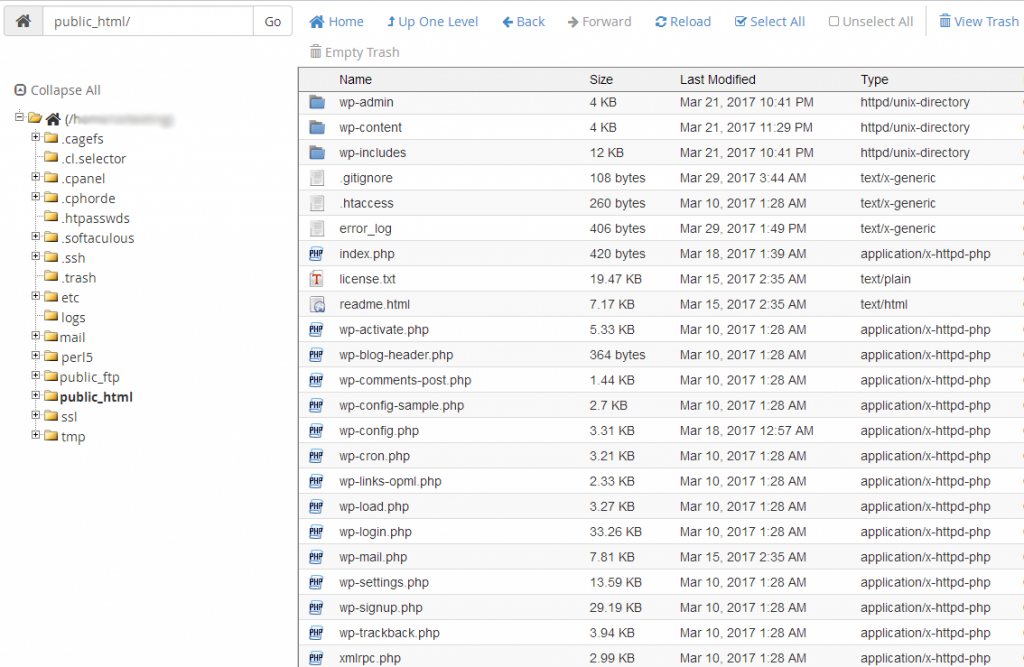 How to install wordpress